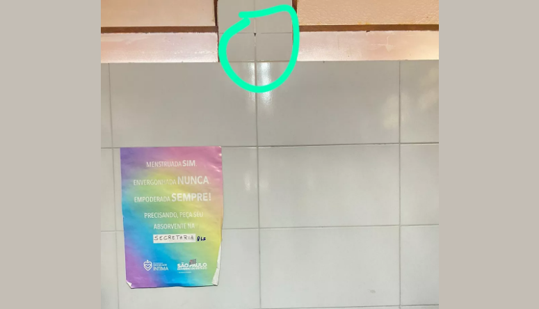 Diretora de escola estadual de SP que instalou câmeras no banheiro é ... Diretora de escola estadual de SP que instalou câmeras no banheiro é ...
